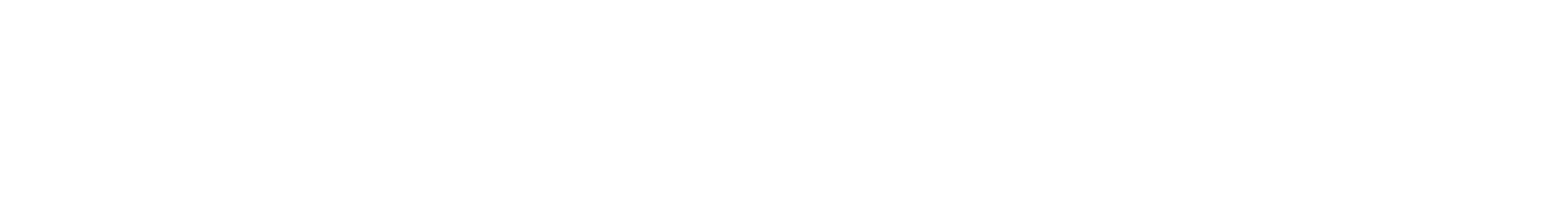 Domača stran | GO! 2025